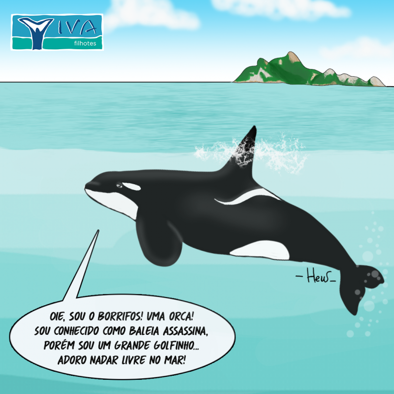 Orca - VIVA Instituto Verde Azul